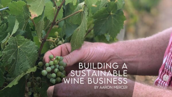 Building a Sustainable Wine Business - Mercer Wines